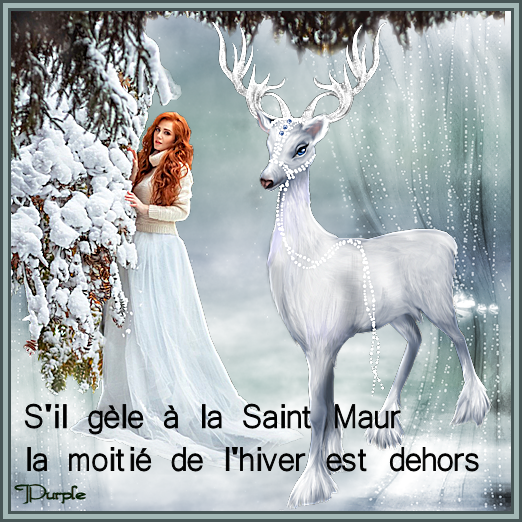 Dicton Du 15 Janvier 2023